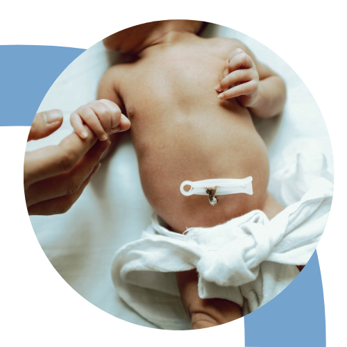 Startseite | E-Learning Stillberatung